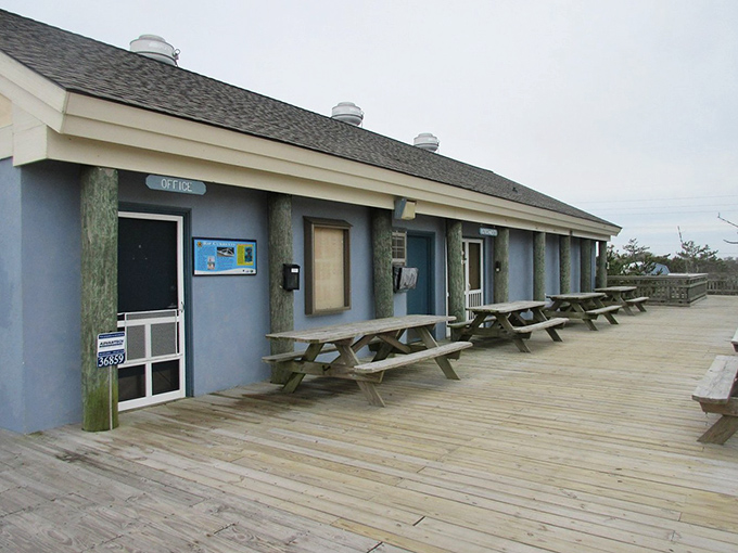 The beach office—where important decisions like "nap now or swim first" are made daily under the watchful eye of park staff.