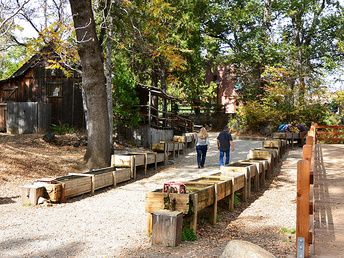 Gold panning stations await modern-day prospectors, though the return on investment might be richer in experience than actual precious metal.