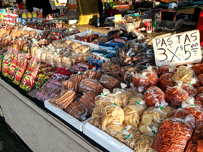 Pasta varieties spread out like an Italian grandmother's pantry exploded in the most delicious way possible.