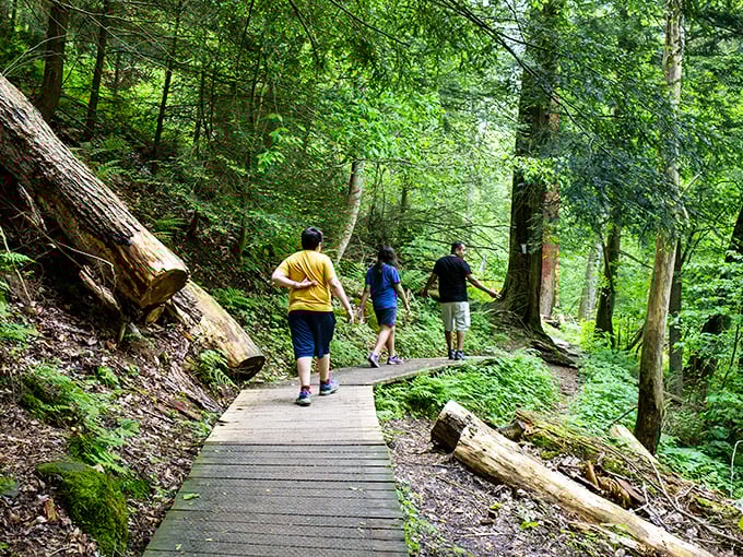 Boardwalk trails make Mohican's natural wonders accessible to all. No need for extreme hiking gear to experience these magical forest corridors.