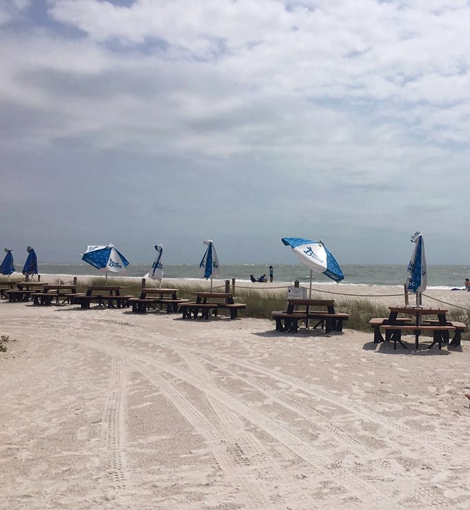 Wind-swept picnic tables offer front-row seats to nature's greatest show. Dinner with a view that beats any 5-star restaurant reservation.