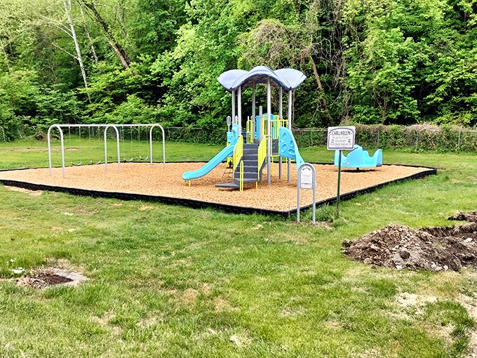 Neighborhood playgrounds provide affordable entertainment for visiting grandchildren. Where screen time takes a backseat to sunshine and laughter.
