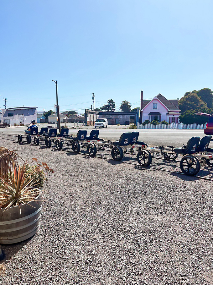 These railbikes offer the perfect compromise between exercise and sightseeing &ndash; your legs work while your eyes feast.