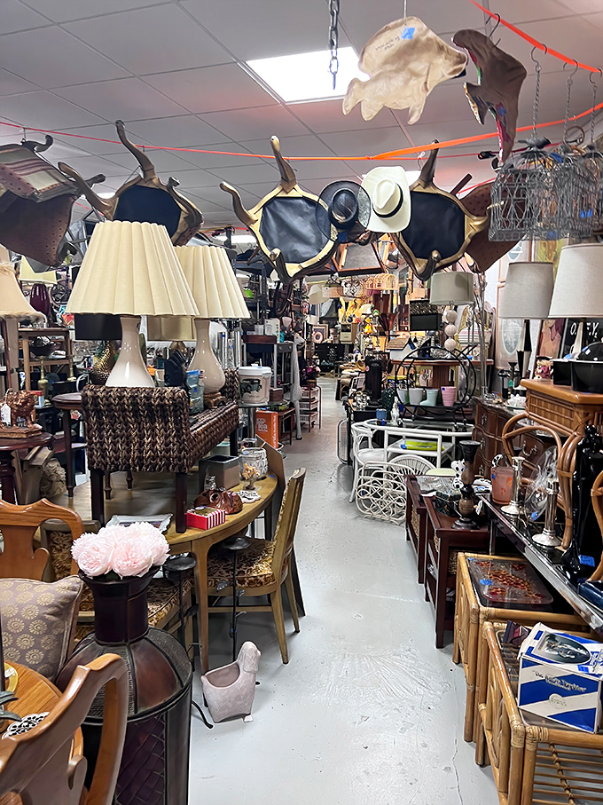 Lamps, chairs, and curios create a maze of potential discoveries. That white wicker chair isn't just furniture&mdash;it's your future reading nook waiting to happen.