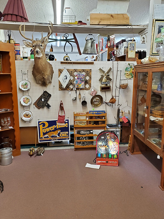 The taxidermy meets memorabilia corner – where a deer head oversees a kingdom of vintage advertisements and collectibles from simpler times.