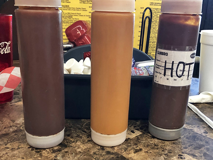 Three sauces standing at attention like flavor sentinels. Whatever your condiment philosophy, there's a squeeze bottle here ready to change your life.