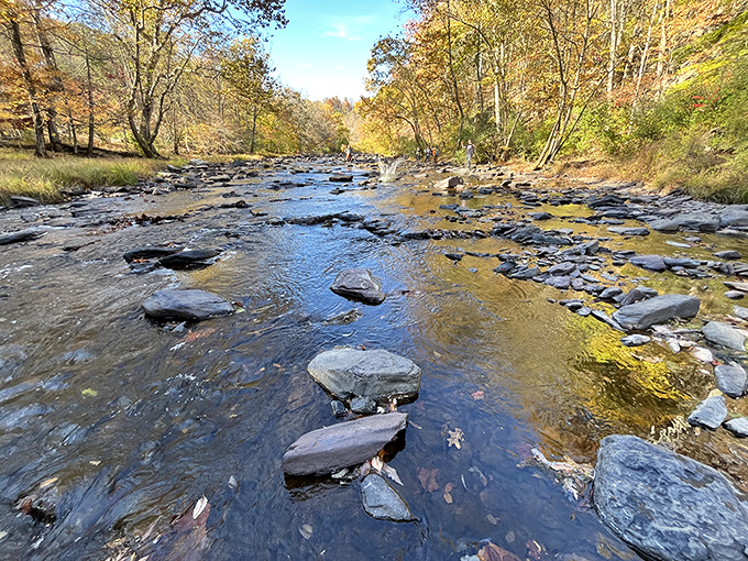 The creek's shallow waters create a natural stepping-stone path that would make any kid feel like a wilderness explorer crossing uncharted territory.