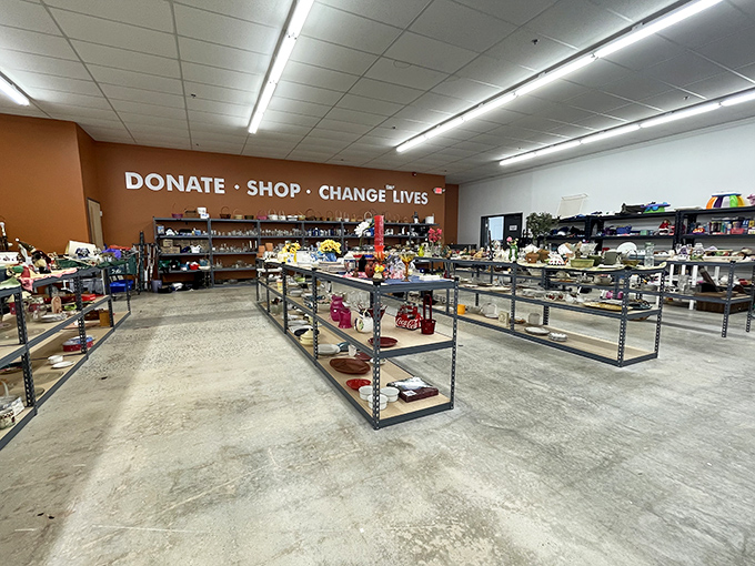 The housewares section: where your grandmother's favorite serving dishes come to find new families to feed and stories to tell.