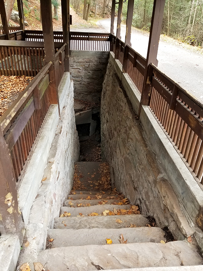 Descending into the Ice Mine feels like entering nature's refrigerator. These stone steps lead to a geological oddity where summer visitors are advised to bring a sweater.