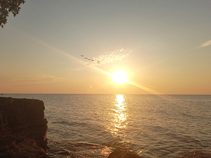 Lake Erie sunsets rival any ocean view, painting the sky in watercolor hues that no Instagram filter could possibly improve upon.