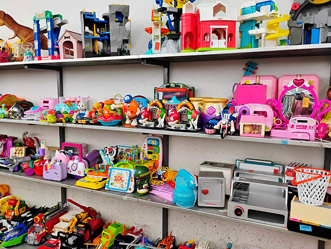 Toy wonderland where childhood dreams get second chances and parents' wallets get much-needed relief from retail prices.