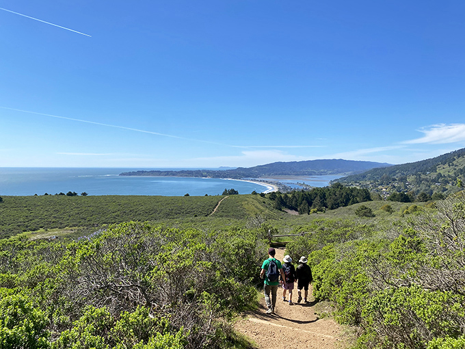 Hikers descend toward paradise on one of Mount Tam's legendary trails, where every step brings you closer to that well-earned beach nap.