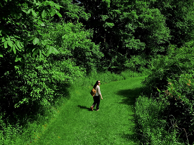 Nature doesn't just surround Honesdale—it embraces it. These walking trails offer the kind of peaceful solitude that no spa treatment can match.