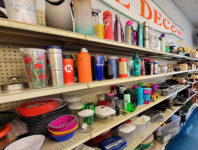 The tumbler section: where hydration meets self-expression. That orange Hydro Flask could be your constant companion through Virginia's humid summers.
