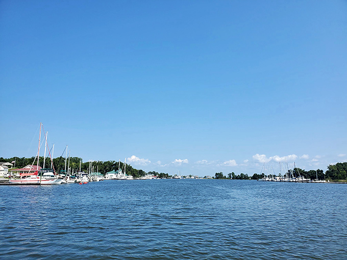 Blue skies, bluer water – Urbanna Creek opens to the Rappahannock River in a postcard-perfect scene that makes you wonder why you ever lived anywhere else.