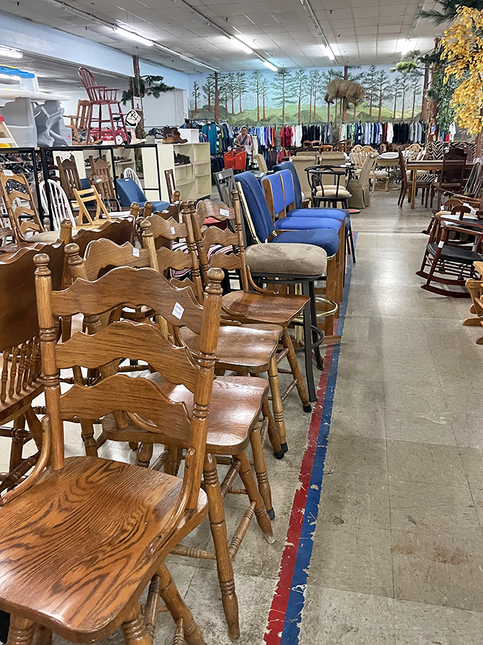Wooden chairs with personality stand at attention, like they're auditioning for roles in your dining room's next big production.