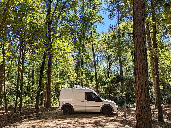 Barnwell's open fields say "throw a frisbee here" more clearly than any sign ever could.