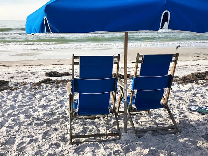 Caladesi Island's pristine shores remind us what Florida beaches looked like before we humans showed up with our condos.
