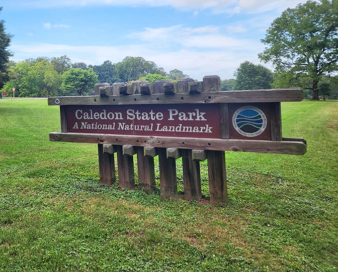 Caledon's entrance sign hints at the natural treasures within—ancient trees that were saplings when America was born.