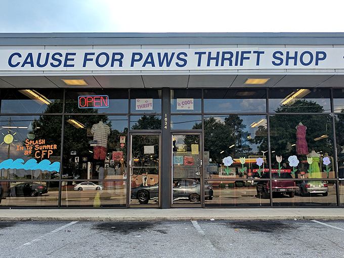 Cause for Paws' storefront window displays summer fashions with flair. Shopping that helps furry friends!
