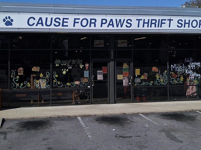 Cause for Paws proves thrift stores can have personality! Those hand-painted windows hint at the creative treasures waiting inside.