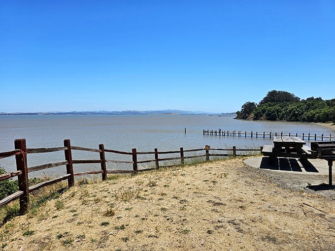 San Pablo Bay's calm waters lap peaceful shores where Chinese immigrants once built thriving communities.