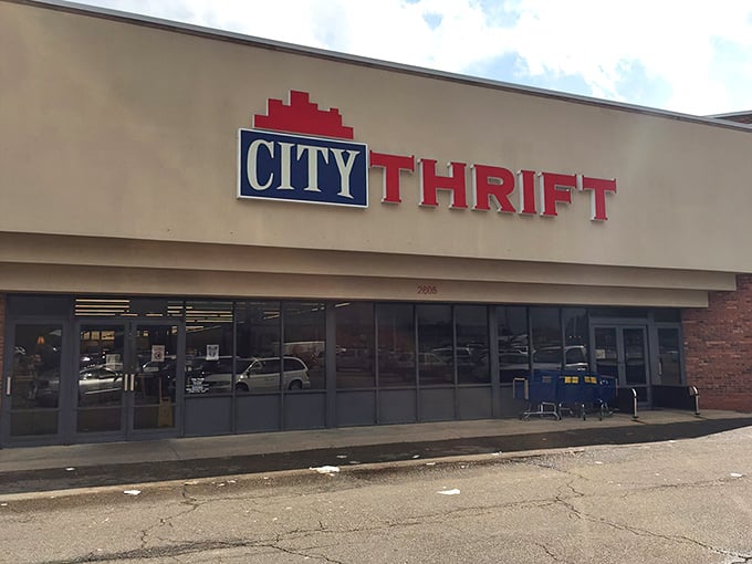 City Thrift's sign promises big-box selection with small-price charm. The shopping carts await your imminent treasure expedition!