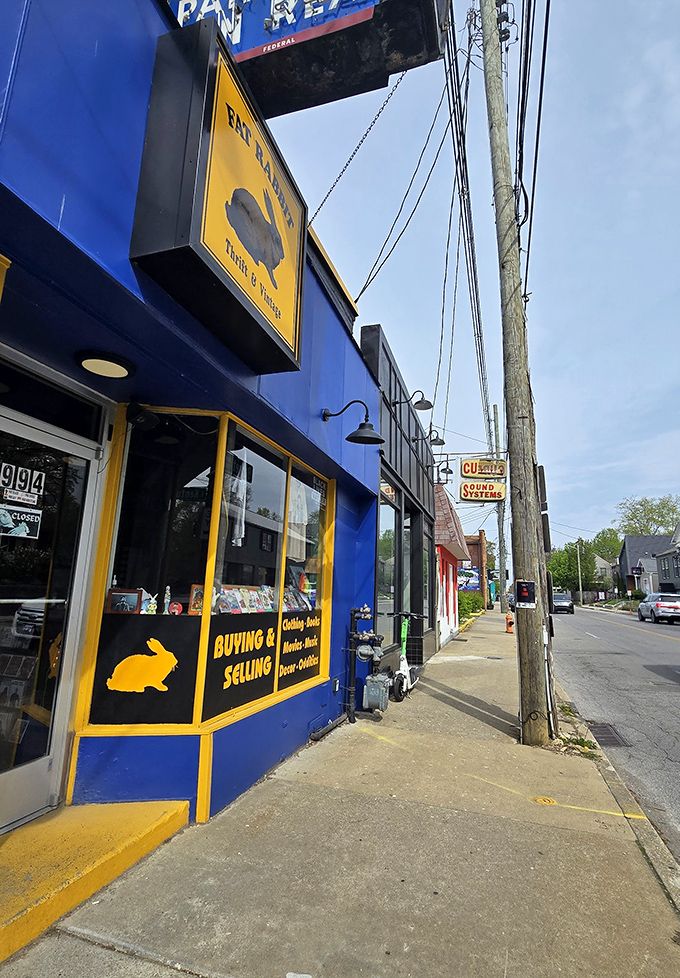 Fat Rabbit's electric blue storefront pops against the urban landscape, promising vintage adventures beyond the yellow bunny logo.