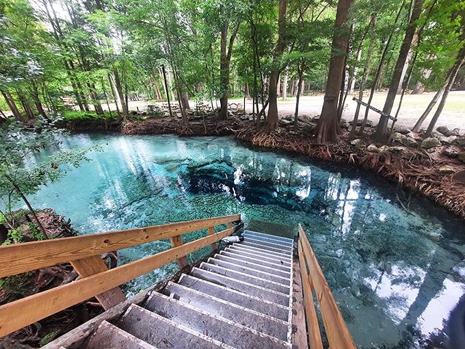 Ginnie Springs' wooden stairway leads to water so clear it seems like an optical illusion&mdash;"Are we sure there's water there?"