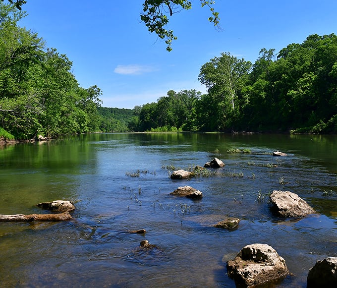 The Meramec River flows like liquid glass between tree-lined banks. Canoe heaven found in Missouri's backyard!