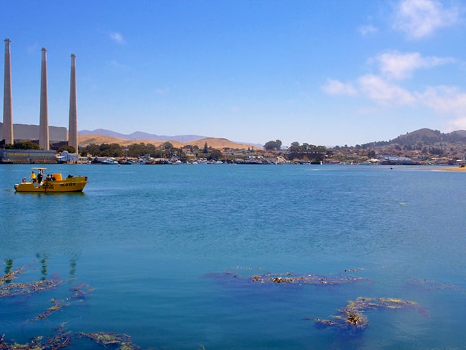 Morro Bay's iconic rock stands like nature's exclamation point, announcing "Ocean views here!" to anyone who'll listen.