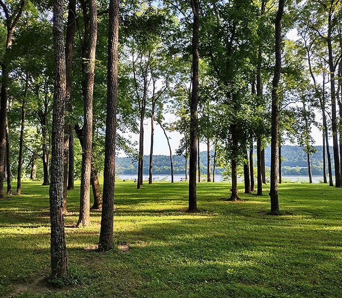 Towering trees create a natural colonnade at O'Bannon Woods State Park. Nature's version of a grand entrance!