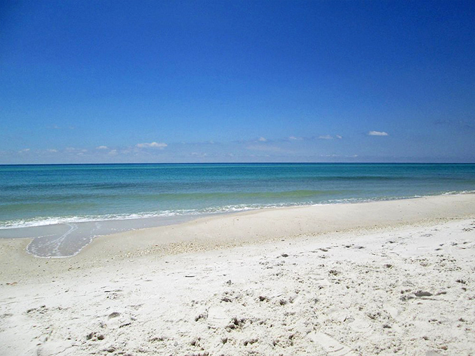 Panhandle perfection: where sugar-white sand meets emerald waters in a combination that never gets old. 