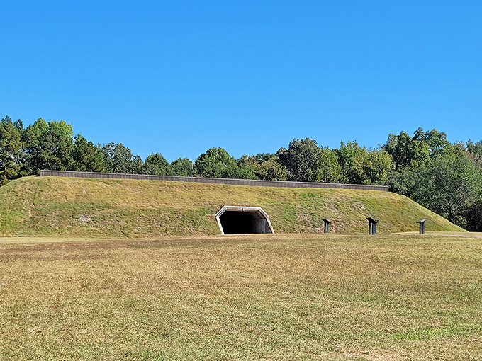Pinson Mounds' ancient earthwork stands as a testament to human ingenuity. No heavy machinery required, just determination.