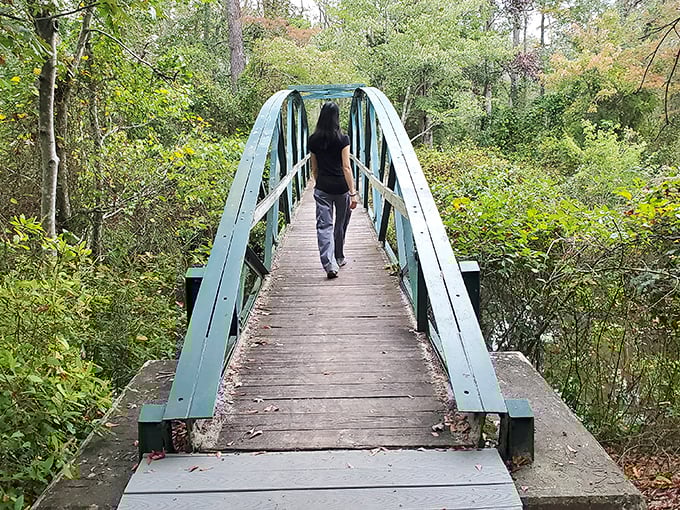 A peaceful walking bridge in Pocomoke City invites exploration without expedition prices. Nature's bounty is the town's free amenity package.