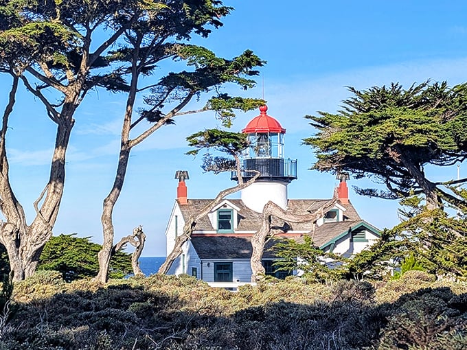 California's oldest continuously operating lighthouse still works harder than most people half its age. 