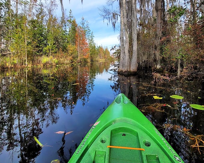 The Okefenokee's cypress-lined waterways are like nature's Venice &ndash; minus the tourists and plus a few alligators.