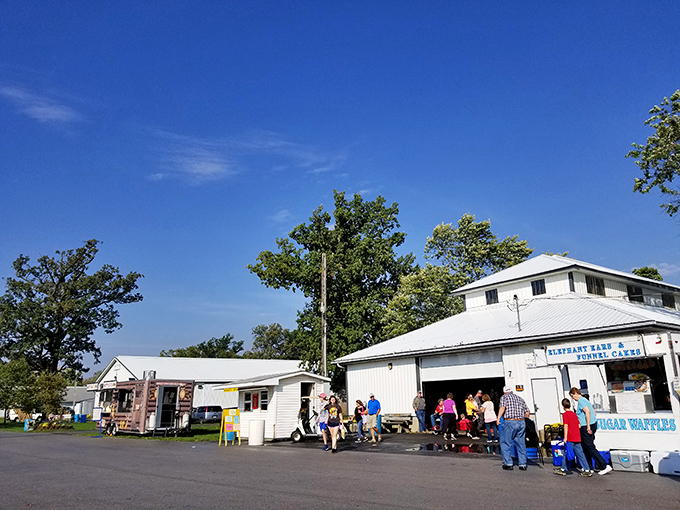 White buildings against blue skies create the perfect small-town backdrop for Tiffin's beloved flea market.