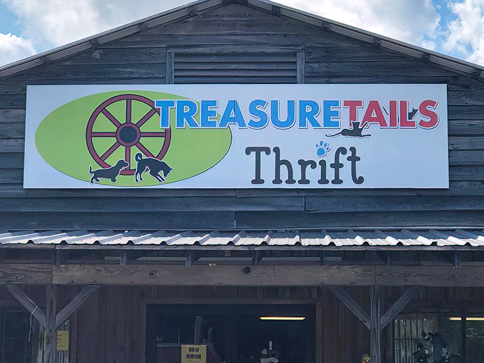 Treasure Tails' playful sign featuring pets and a wagon wheel perfectly captures the spirit of this charity shop&mdash;quirky finds that help furry friends.