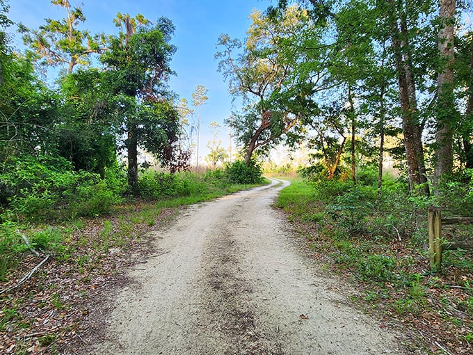 The road to tranquility is sometimes unpaved. This trail at Big Shoals promises adventures that no GPS can predict!