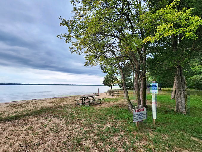 This sandy beach along the Potomac offers picnic-perfect views that beat any five-star restaurant's ambiance.