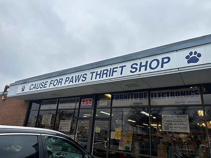 Paw prints adorn the sign of this animal-loving thrift shop. Every purchase helps furry friends find forever homes!