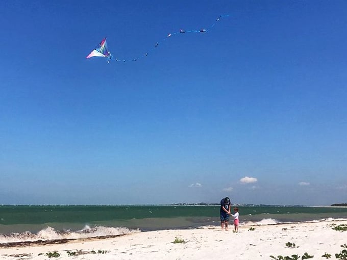 Flying kites on Cayo Costa's beach - where the Gulf breezes do most of the work while you take all the credit for your kite-flying skills.