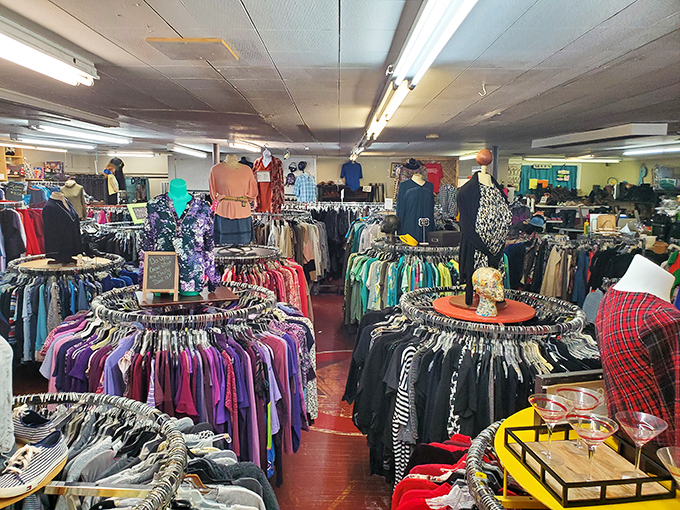 Inside Divine Finds, circular racks create a boutique shopping experience where every item feels hand-selected for quality.