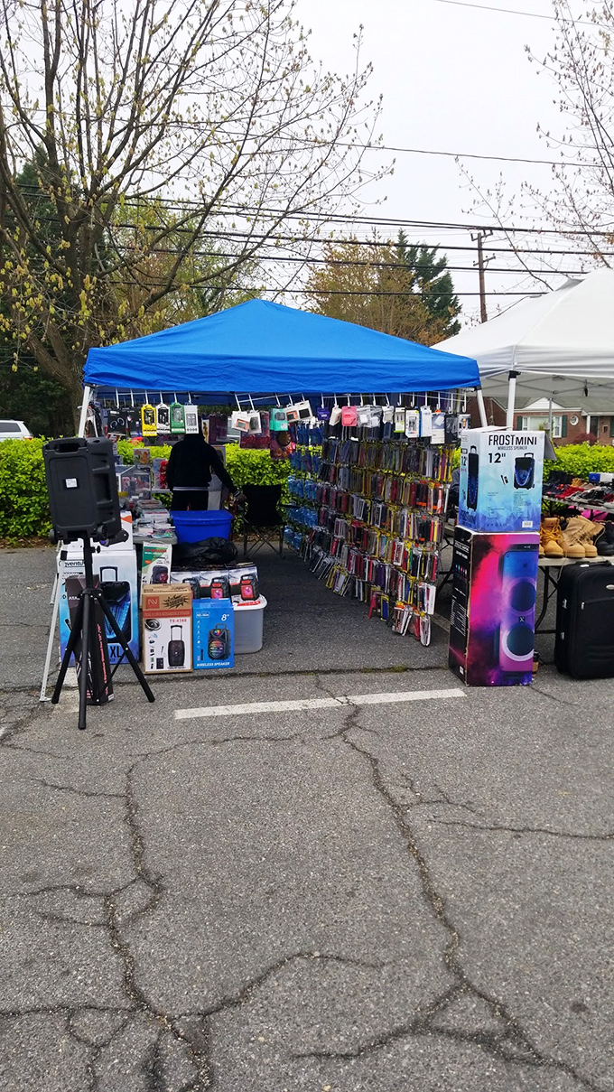 Books, gadgets, and mysteries under a blue tent - flea market treasures waiting for curious hands. 