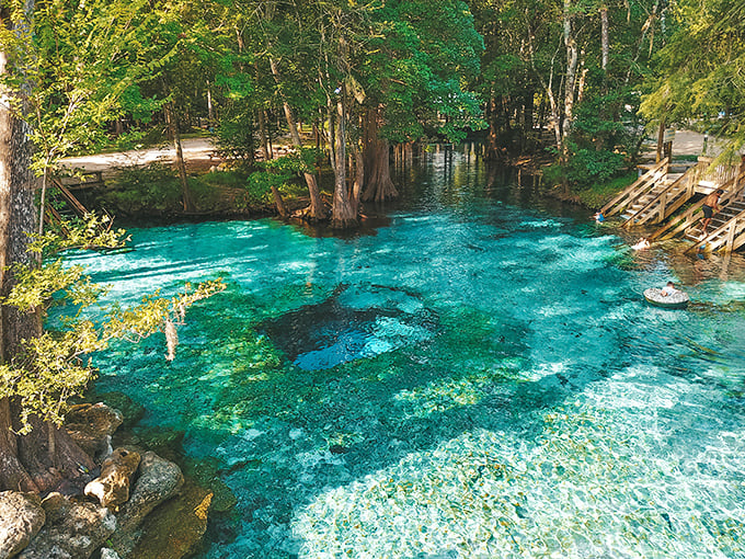 The perfect Florida afternoon: Drifting in Ginnie Springs' crystal waters while watching turtles navigate their underwater highway.
