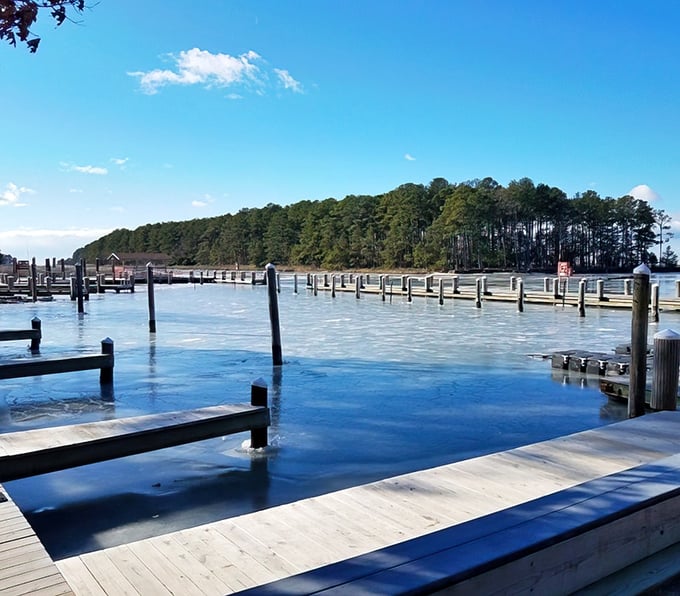 Walking on water! Janes Island's wooden boardwalk stretches toward adventure with every plank &ndash; even the dog knows it.