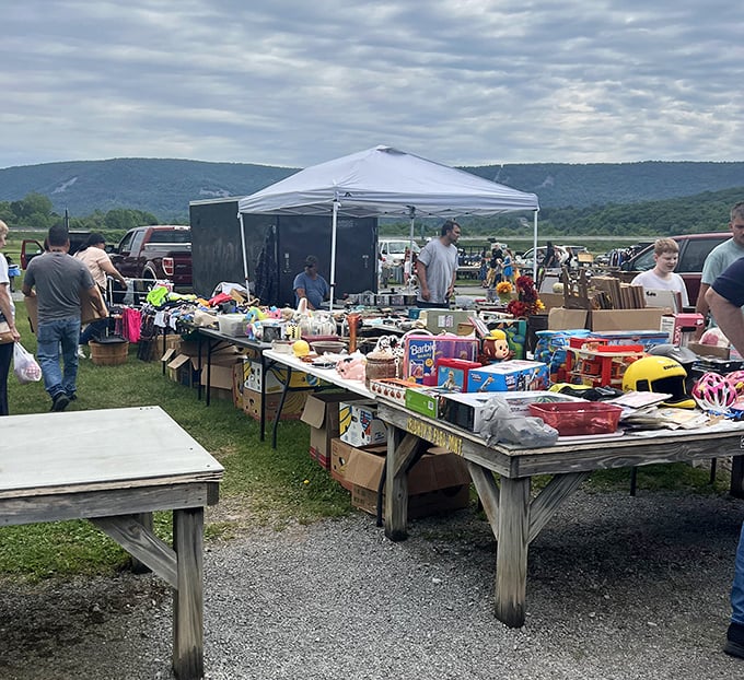 Weekend wonderland! Leighty's transforms ordinary fields into extraordinary marketplaces where every table holds potential discoveries.