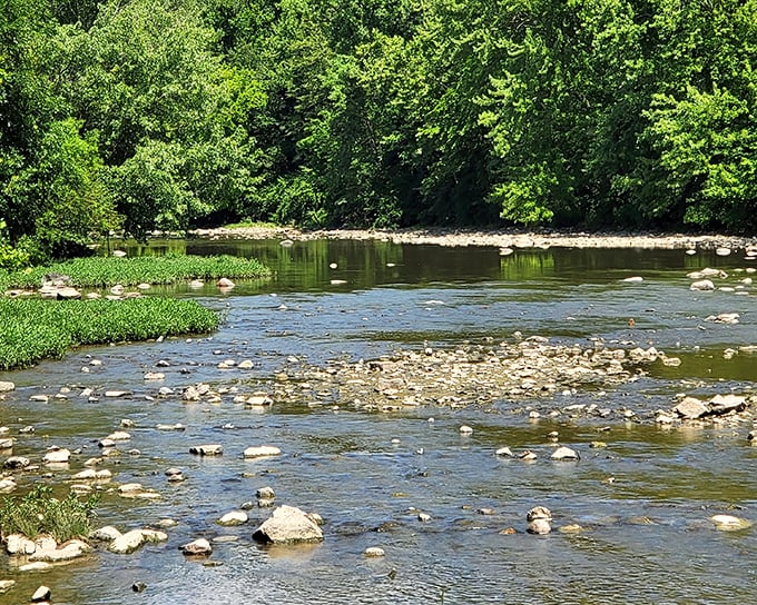 Clear waters of Slippery Rock Creek flow like nature's stained glass window. No cathedral necessary!