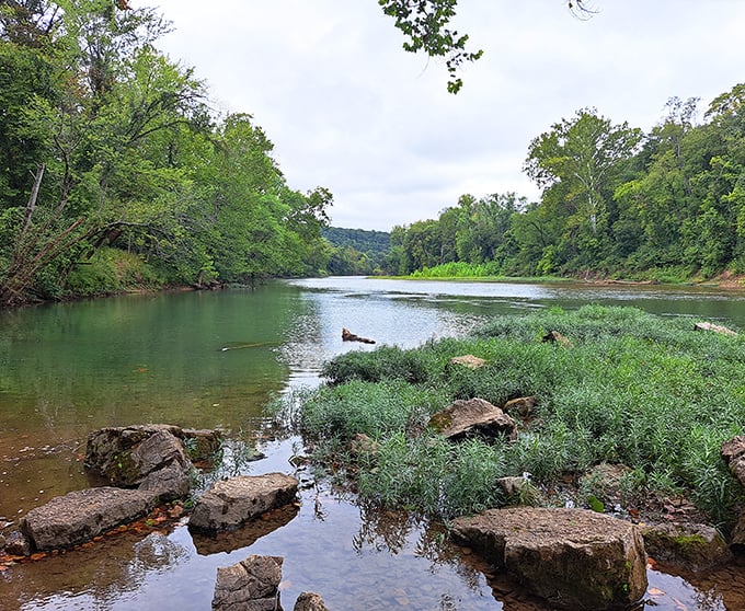 Gentle currents and smooth stones make Meramec State Park's river the perfect natural highway for paddlers of all skill levels.